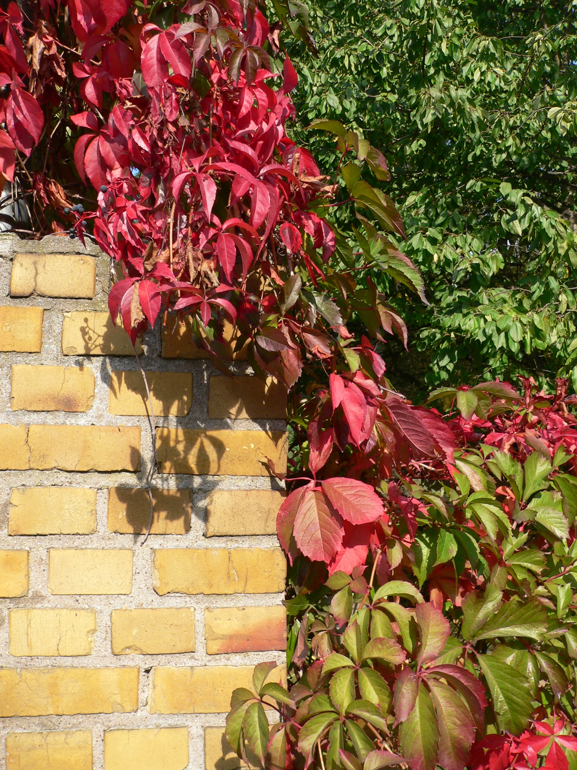 Herbstzeit in Amerika: Fall oder Autumn - was denn nun?