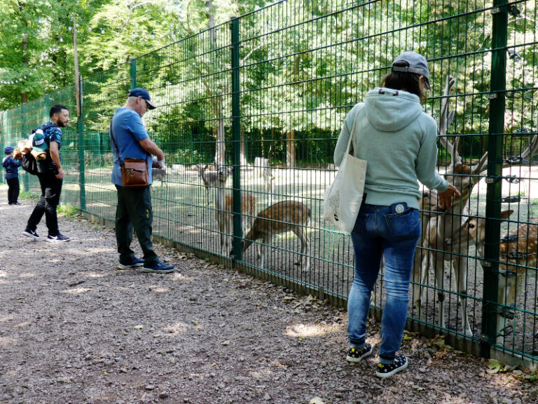 Familien-Besuch im Tierpark Lützen