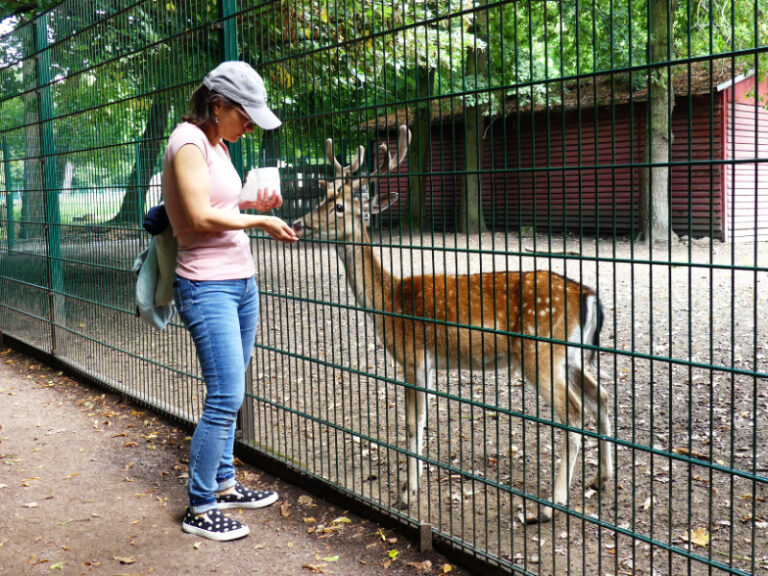 Familien-Besuch im Tierpark Lützen